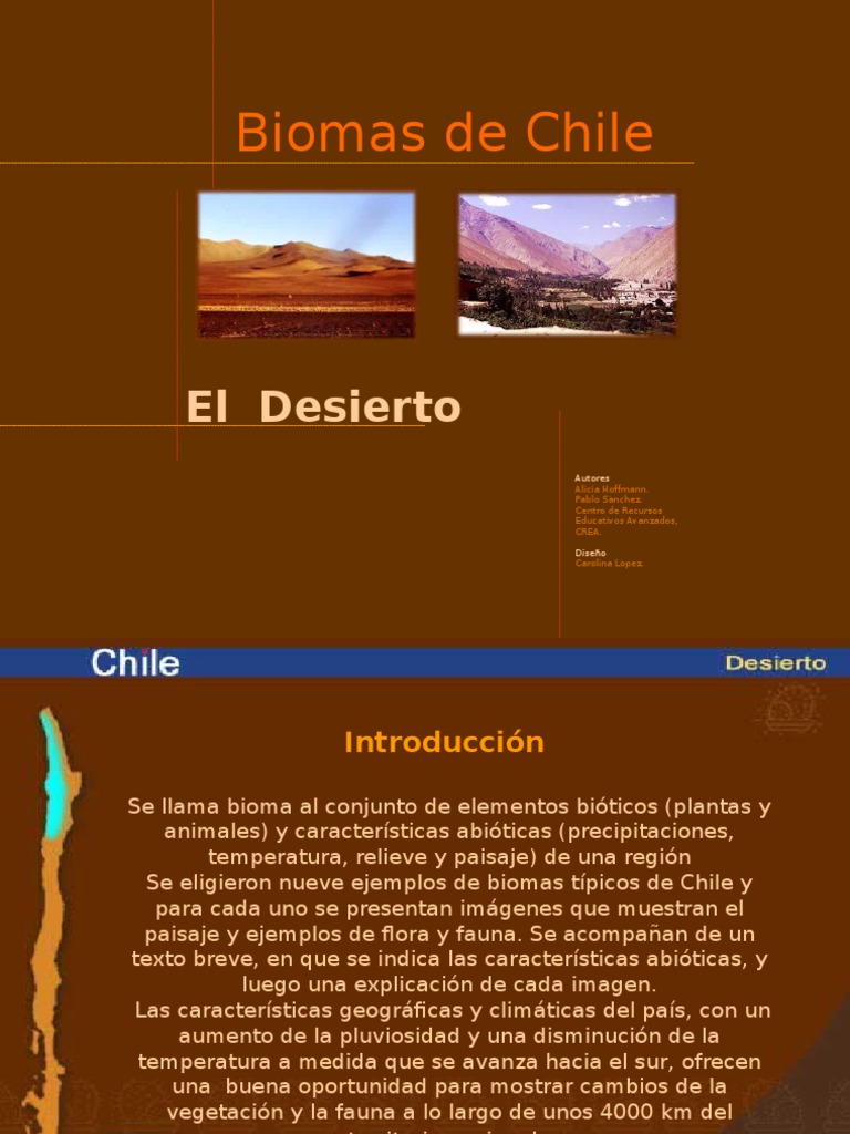 Biomas Desierto | PDF | Desierto | Chile
