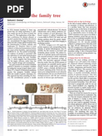 David Whitebread 2012 The Importance of Play | PDF | Emotional Self ...