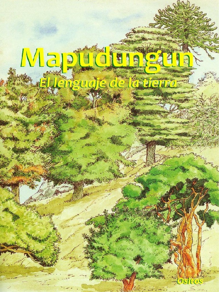Mapudungun El Lenguaje de La Tierra | PDF | Vocal | Verbo