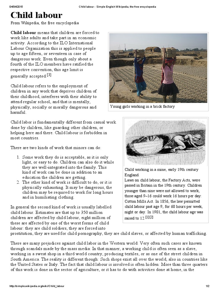 Understanding Child Labour Issues | PDF | Child Labour | International ...