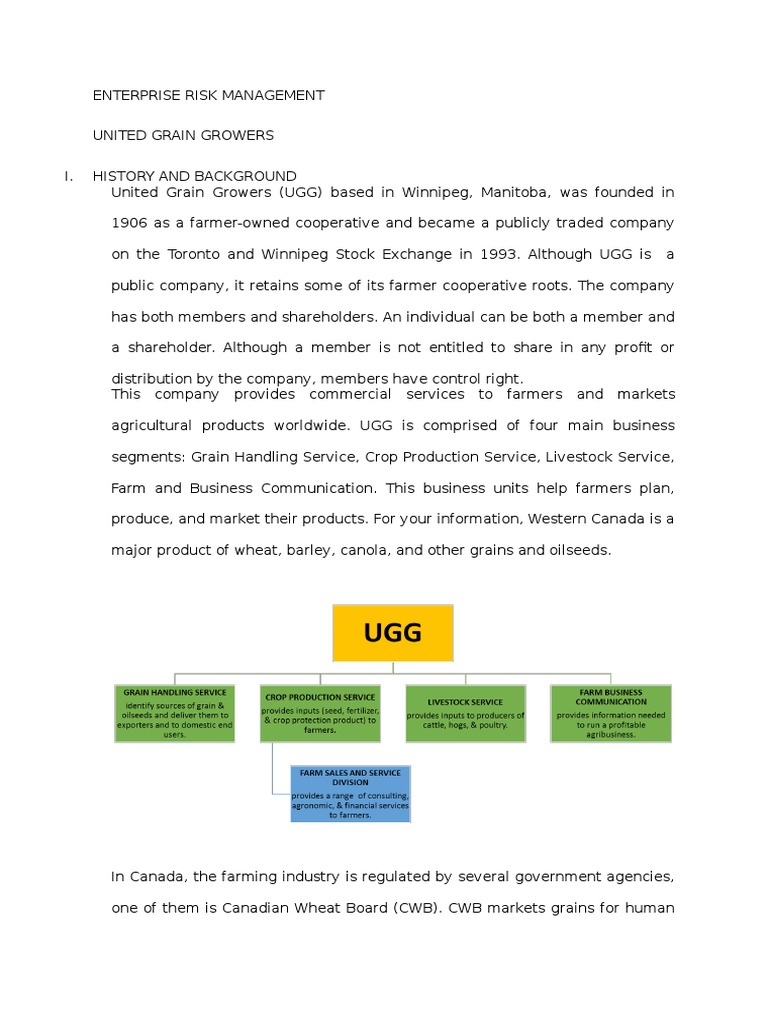 UGG Paper | PDF | Business | Economies