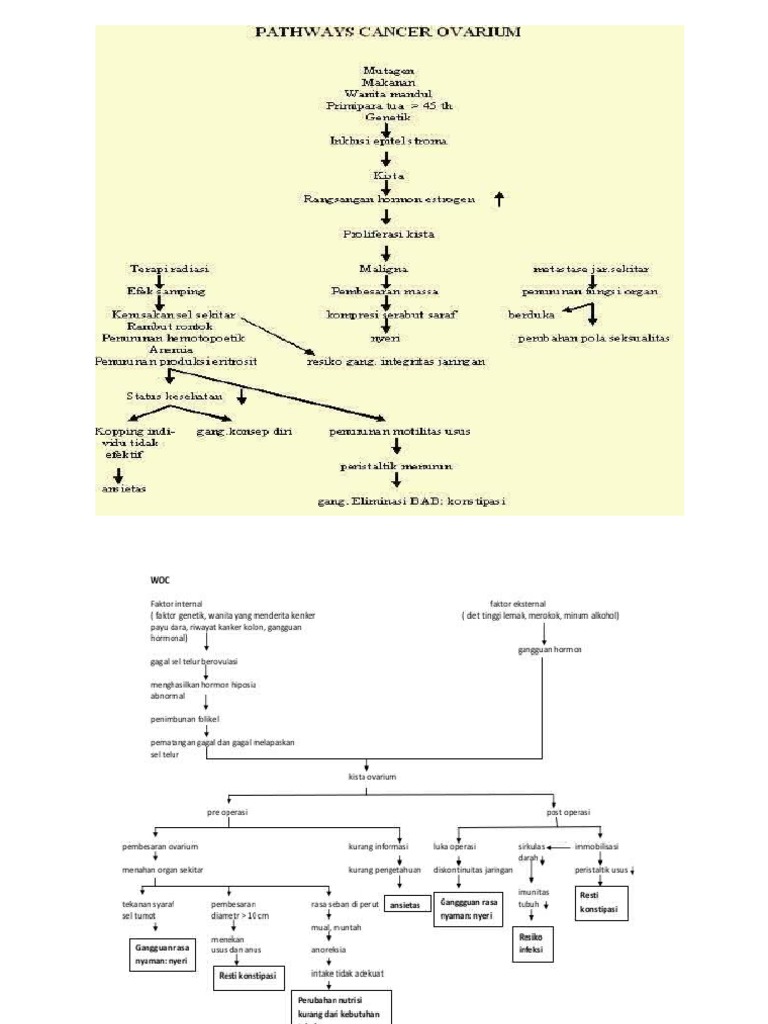 Pathway CA Ovarium | PDF