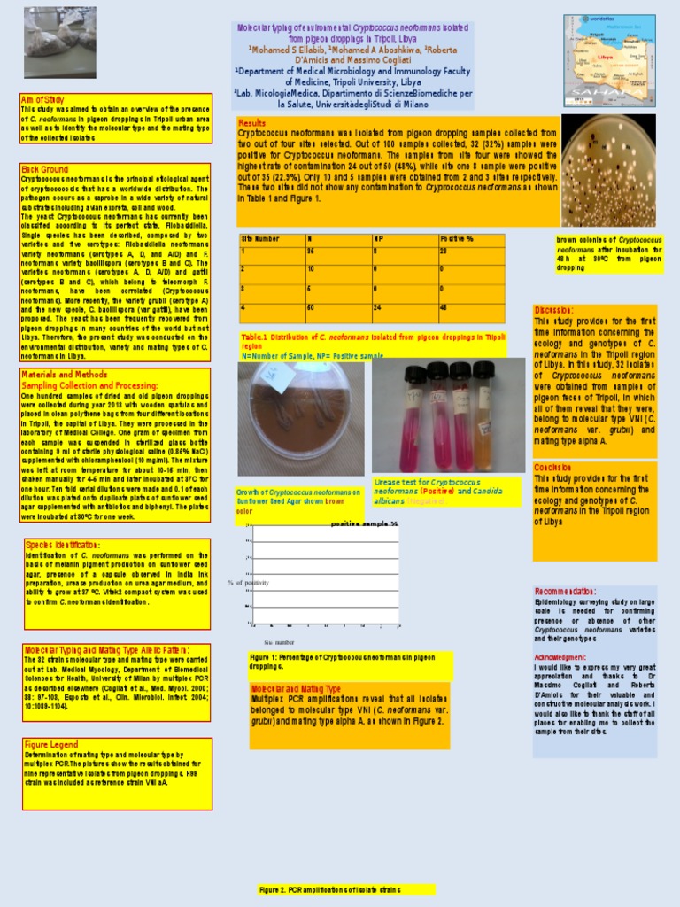 Molecular Typing of Environmental Cryptococcus Neoformans Isolated From ...