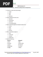 Class 7 Motion and Time Worksheet | PDF | Speed | Time