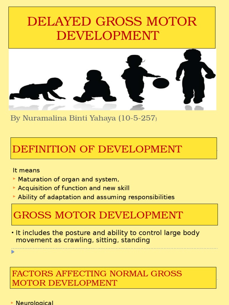 Slide Gross Motor | PDF | Neurology | Health Sciences