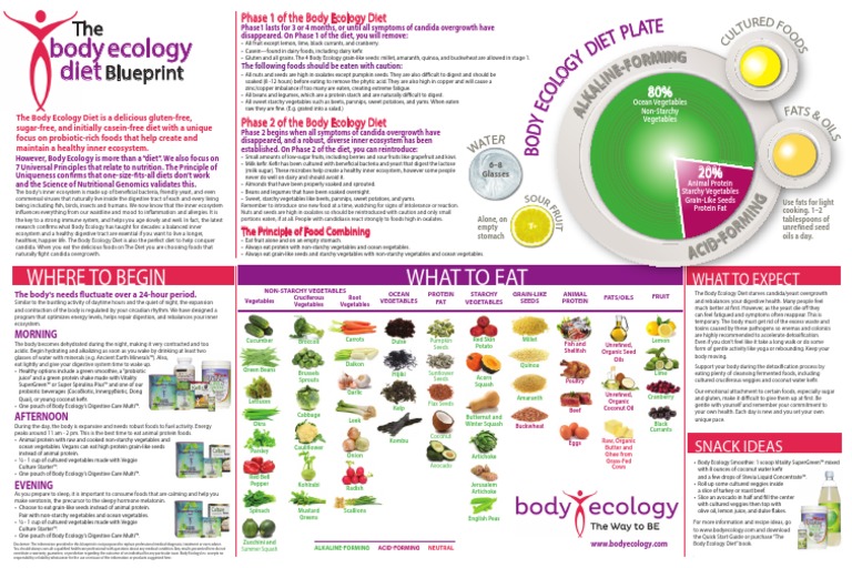 Body Ecology Blueprint | PDF | Vegetables | Digestion