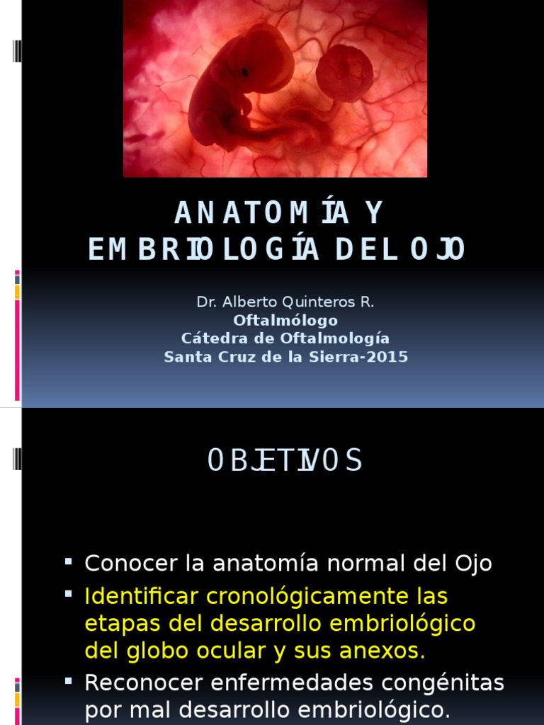 Embriología Del Ojo | PDF | Ojo humano | Ojo