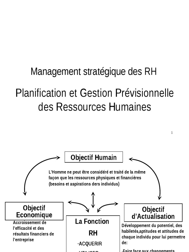 Planification RH | PDF | Consultant | Recrutement