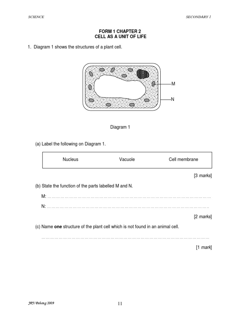Form 1 Chapter 2 | PDF | Cell (Biology) | Organisms