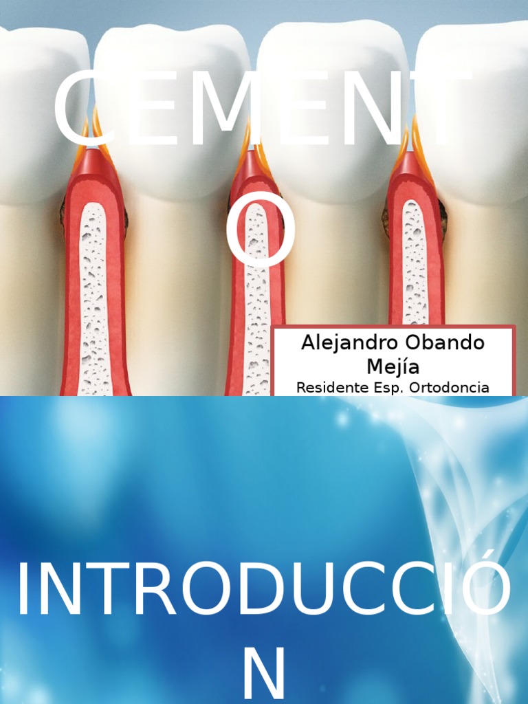 Cemento Radicular: Estructura y Función | PDF | Diente humano ...
