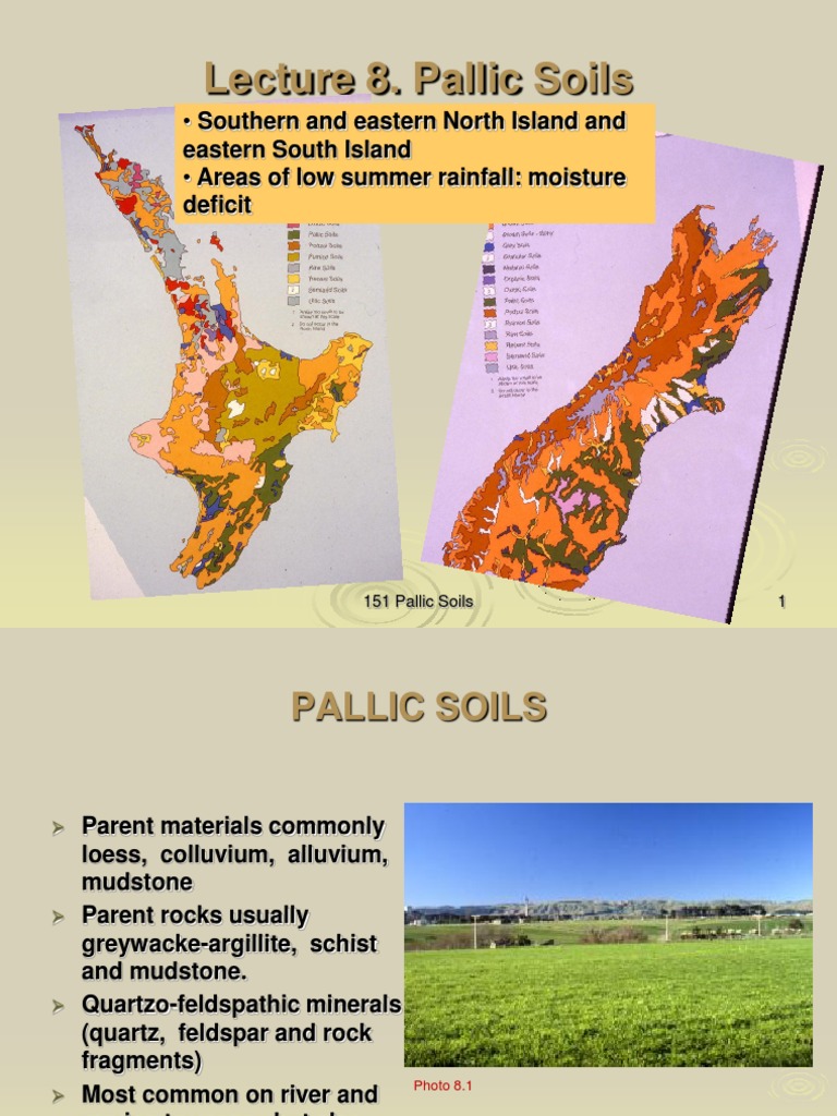 8 Lecture 8 Pallic Soils S1 2012 | Drainage | Topsoil
