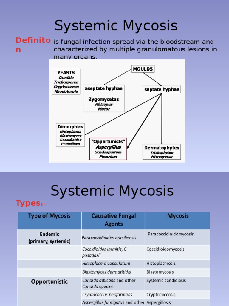Mycosis | PDF | Candidiasis | Animal Diseases