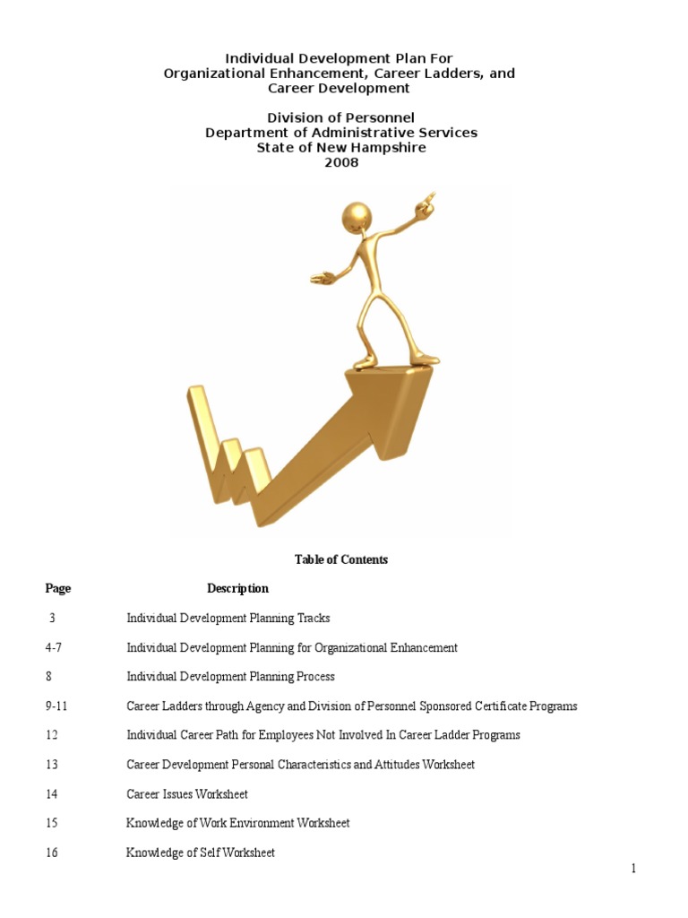 IDP Model | PDF | Competence (Human Resources) | Goal