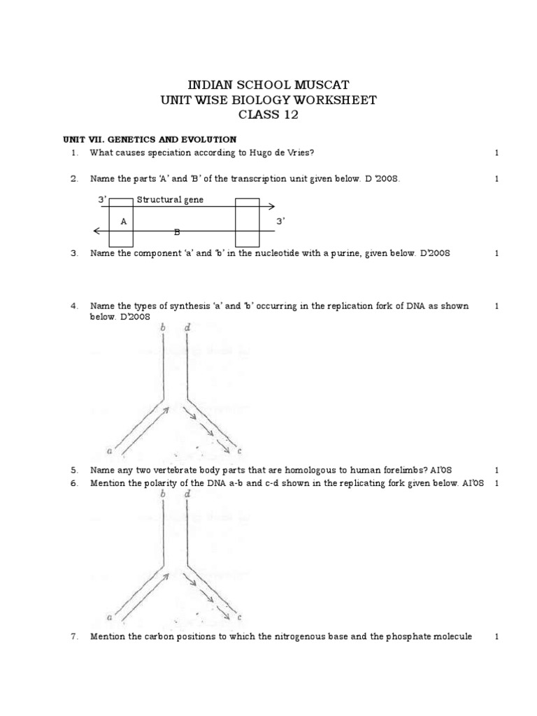 Class 12 Genetics and Evolution Worksheet | PDF | Gene | Dominance ...