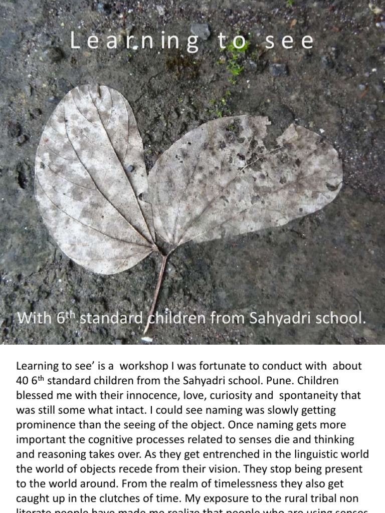 Learning To See | PDF | Pattern | Shape