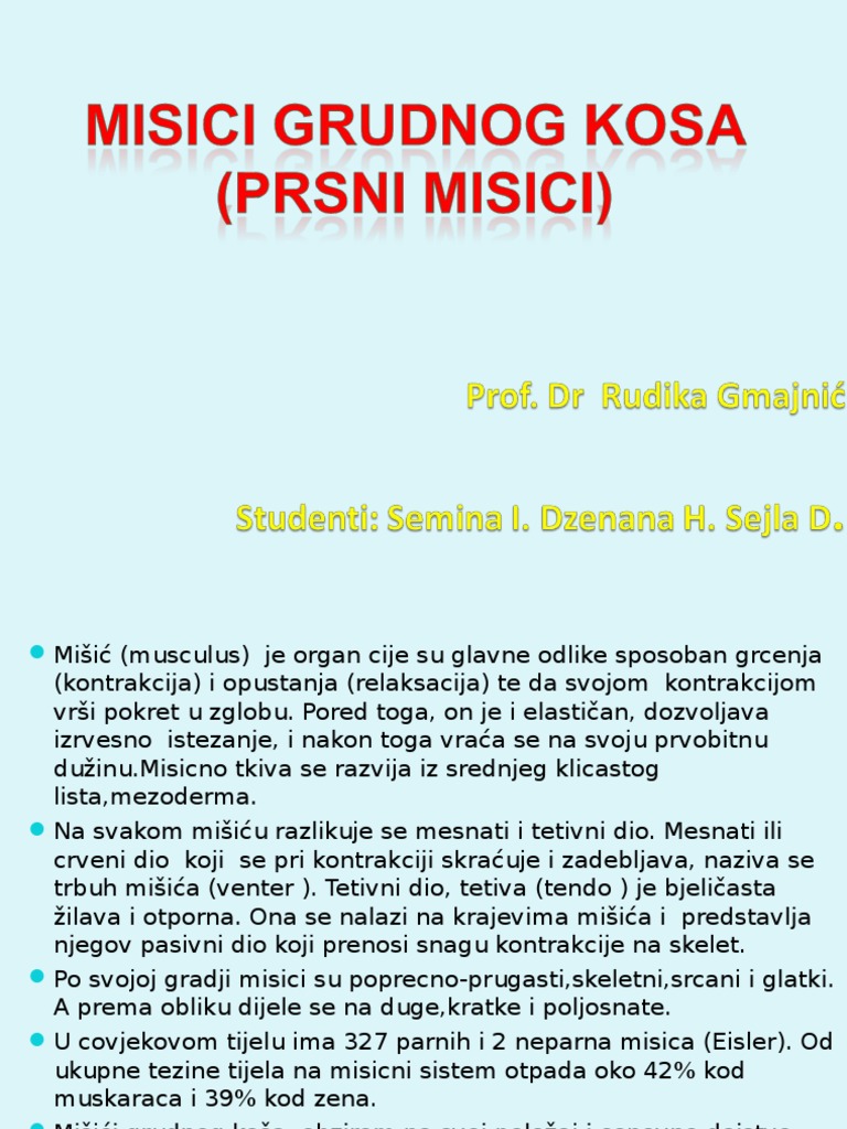 Misici Grudnog Kosa | PDF