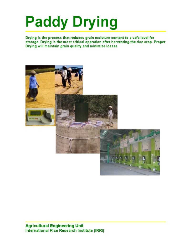 Training Manual Paddy Drying | PDF | Rice | Relative Humidity