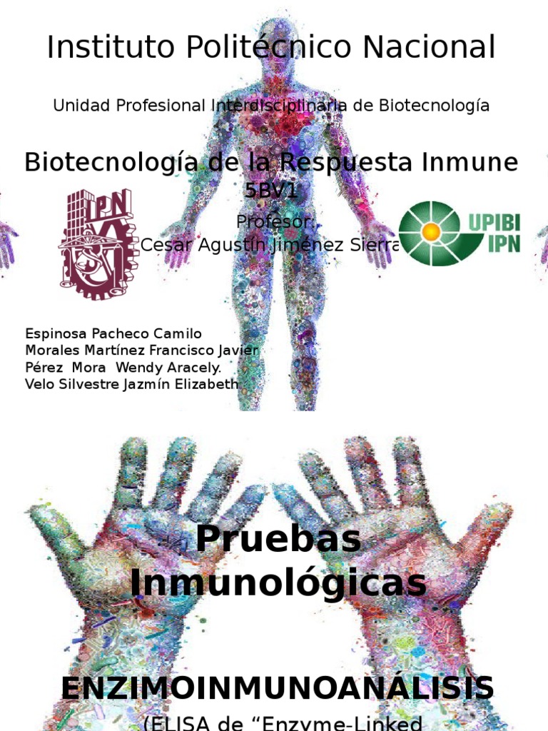 Pruebas Inmunologicas - ELISA | PDF | Elisa | Anticuerpo