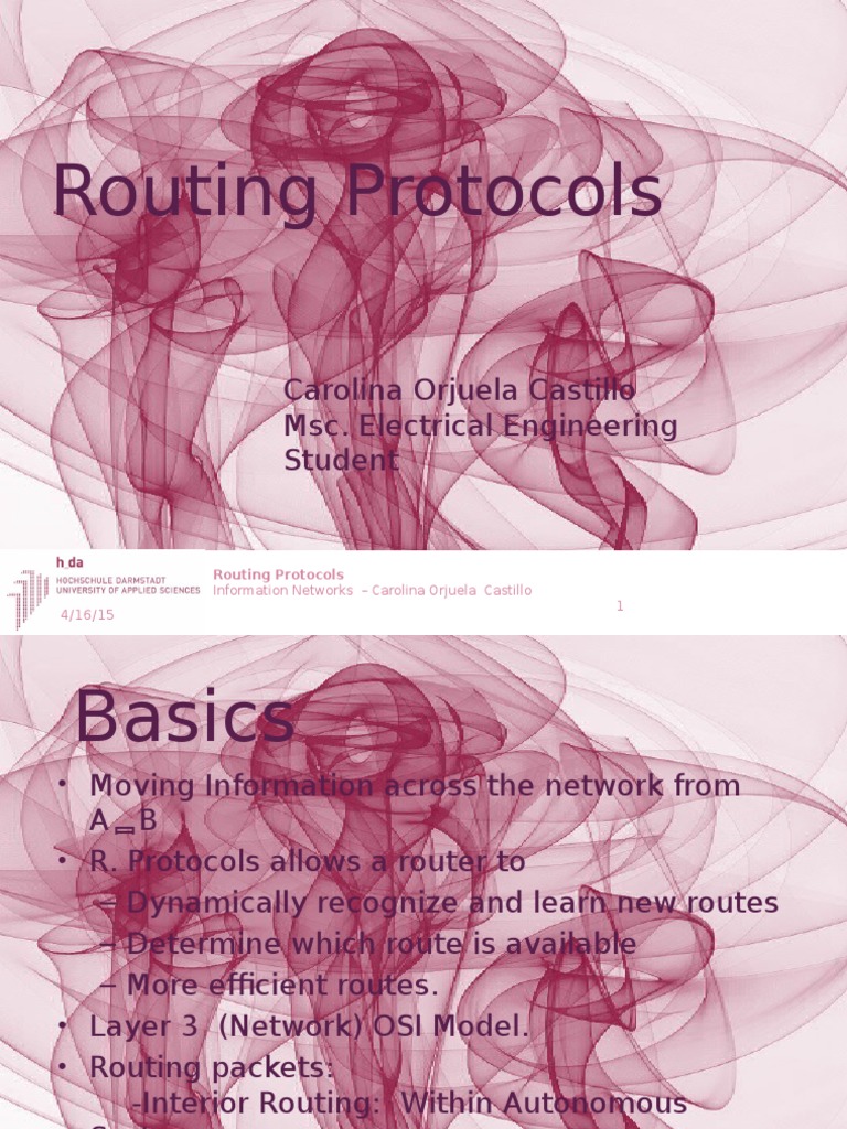 Routing Protocols: Carolina Orjuela Castillo Msc. Electrical ...