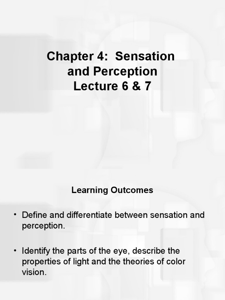 Chapter 4: Sensation and Perception Lecture 6 & 7 | PDF | Auditory System | Perception