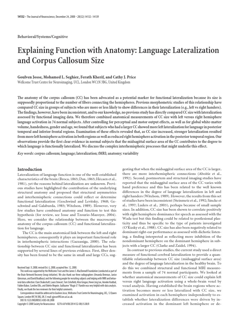Full | PDF | Lateralization Of Brain Function | Cerebral Hemisphere
