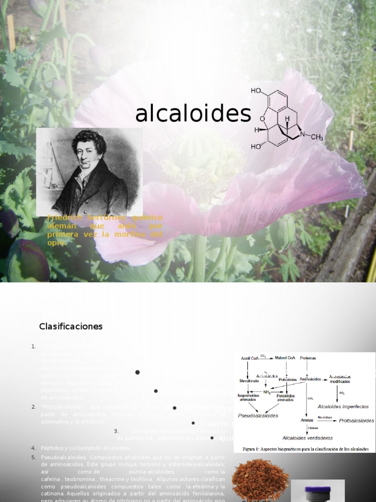 Alcaloides: Propiedades, clasificaciones y aplicaciones | PDF ...