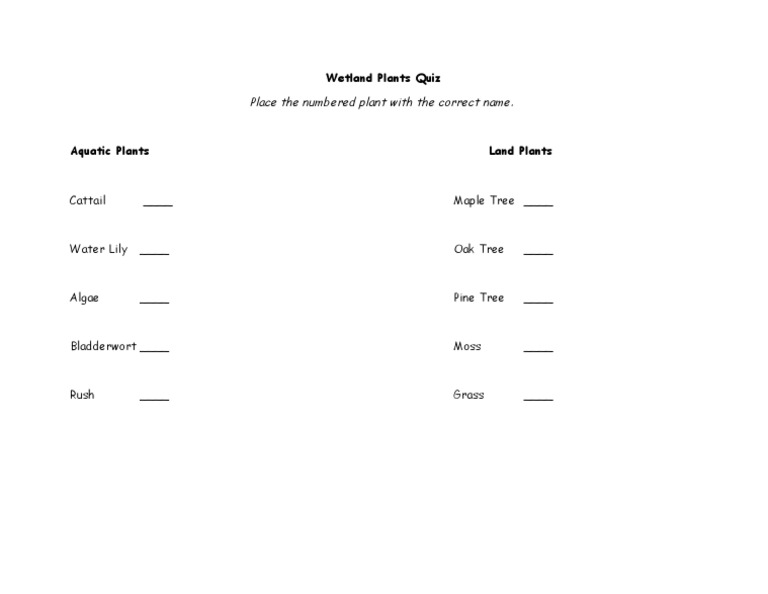 Wetland Plants Quiz | PDF