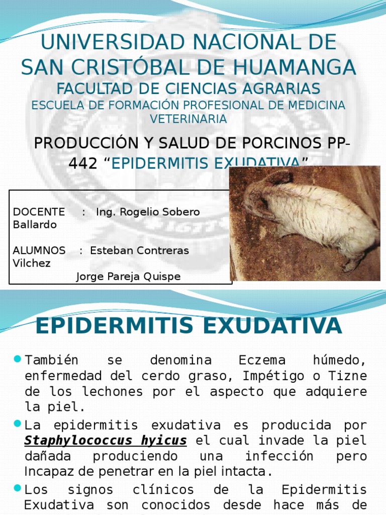 Epidermitis Exudativa | Medicina | Medicina CLINICA
