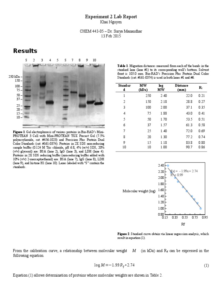 Results: Experiment 2 Lab Report | PDF | Gel Electrophoresis | Biochemistry