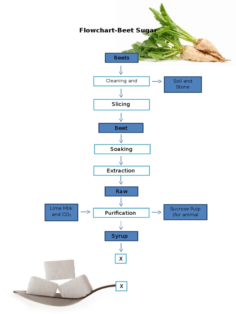 Sugar Production Flow Chart Sugar Manufacturing