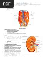 Signo del Témpano y Fabela en Rodilla | PDF | Rodilla | Pie