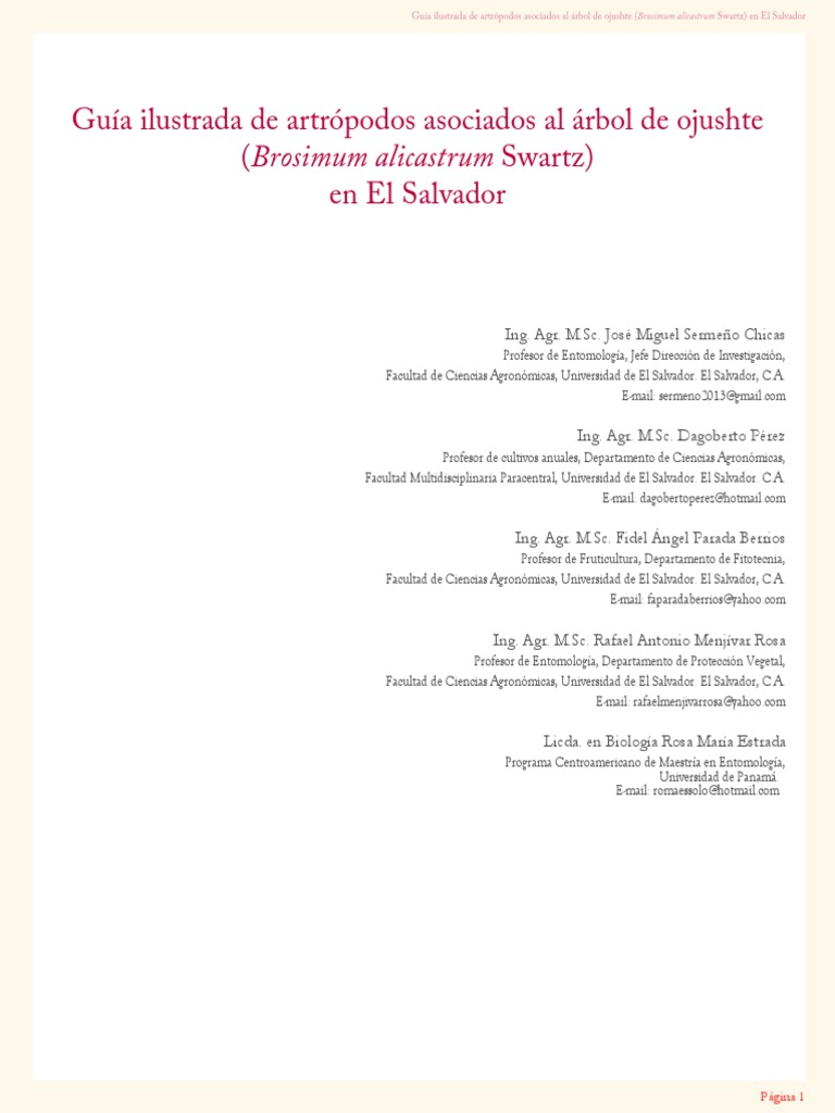 Guia ilustrada de artrópodosasociados al árbol de ojushte Brosimum ...
