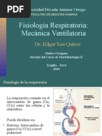 Anatomia de Via Aerea Inferior | PDF | Pulmón | Anatomía