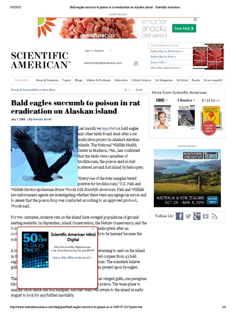 Bald Eagles Succumb To Poison in Rat Eradication On Alaskan Island ...