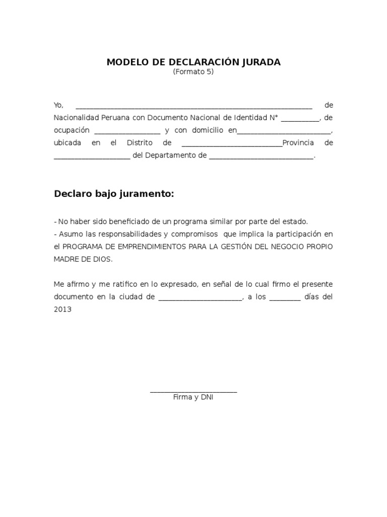 Modelo de Declaración Jurada | PDF | Información del gobierno | Instituciones sociales