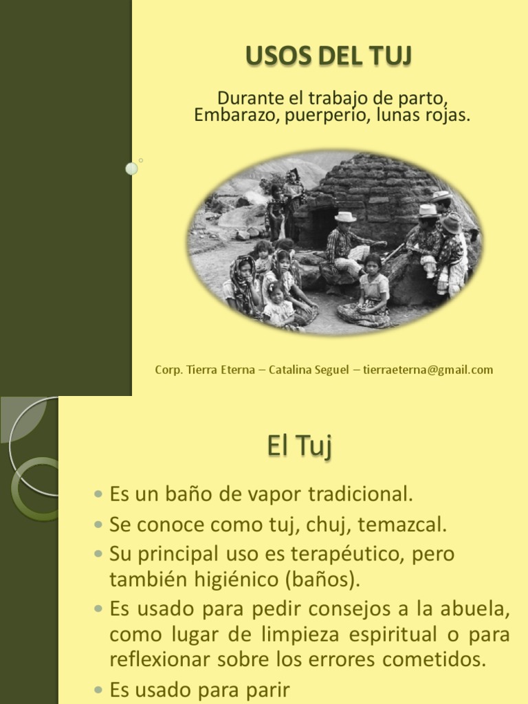 Usos Del Tuj | PDF | Partería | Parto