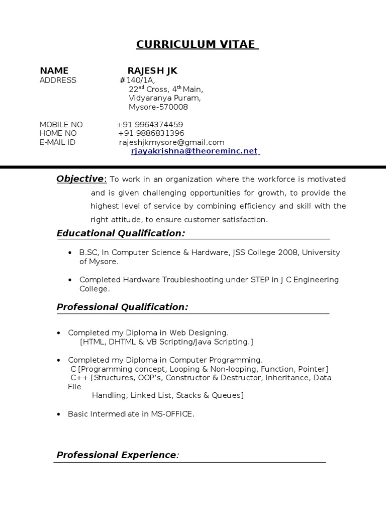 Curriculum Vitae | PDF | C (Programming Language) | Computer Programming