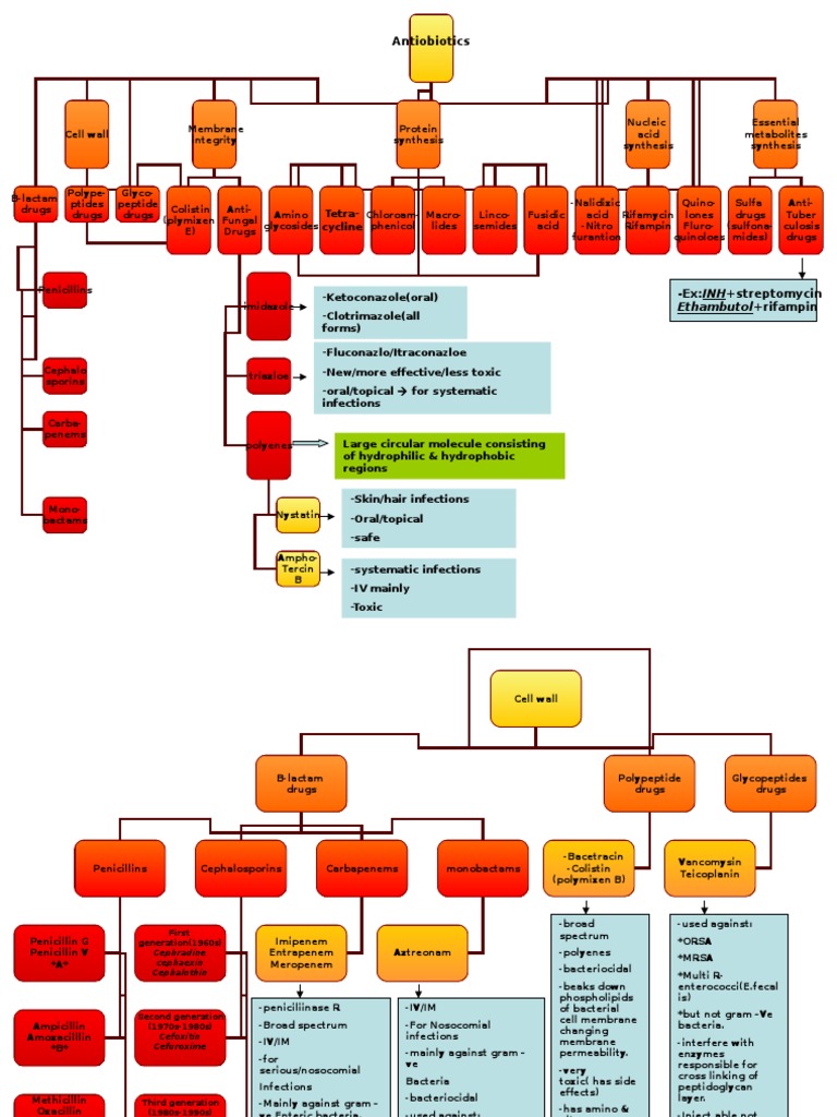 Overview of Antibiotics and Entrapenem | PDF | Penicillin | Bacteria