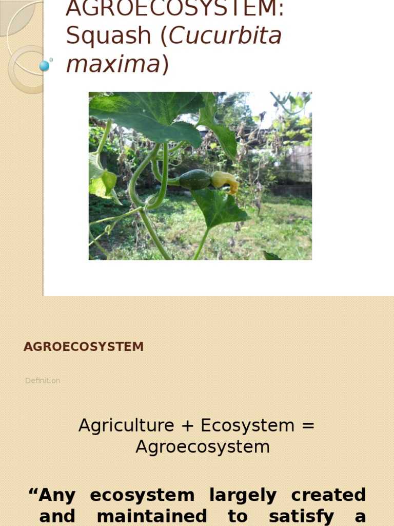 Agro Ecosystem | PDF | Ecosystem | Biodiversity
