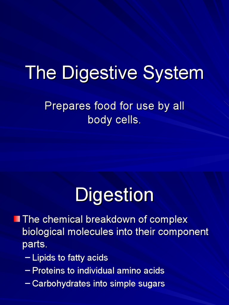 The Digestive System Powerpoint 1227698045024899 8 | PDF | Digestion ...