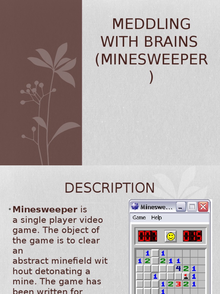 MINESWEEPER | Download Free PDF | Land Mine | Software Engineering