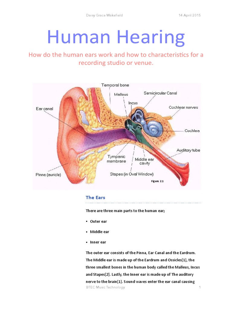 Unit 1 Acoustics Article 2 PDF | Ear | Hearing
