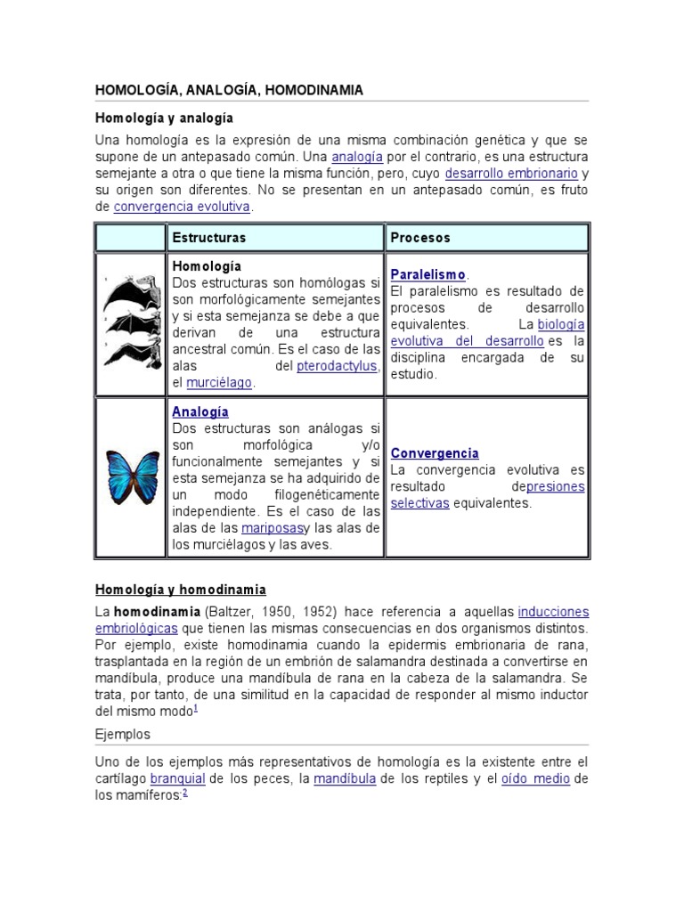 Anatomia Comparada | Homología (biología) | Evolución biológica ...