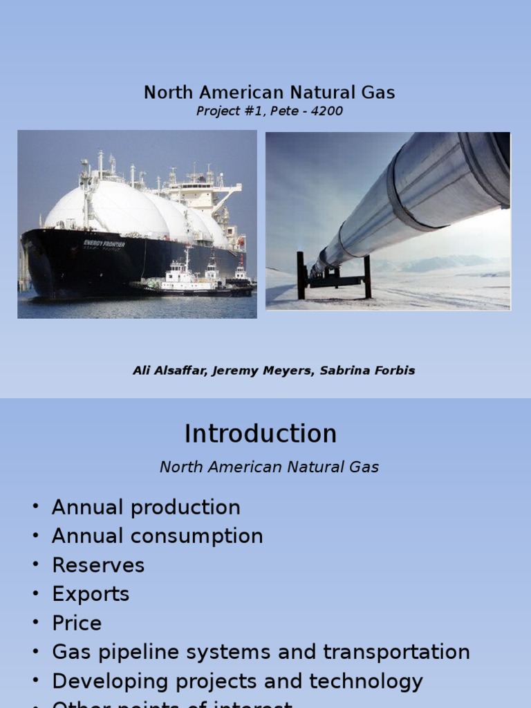 North American Natural Gas: Project #1, Pete - 4200 | PDF | Natural Gas ...