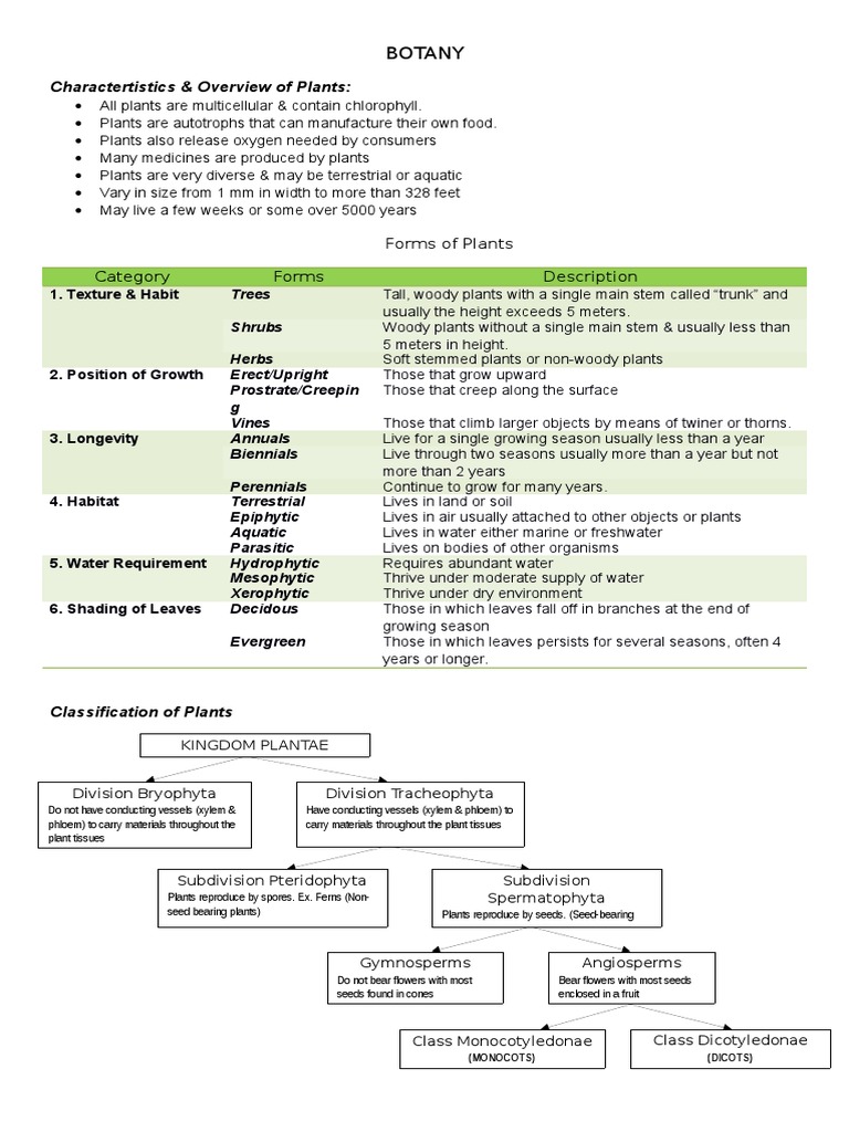 Botany 101 | PDF | Seed | Flowers