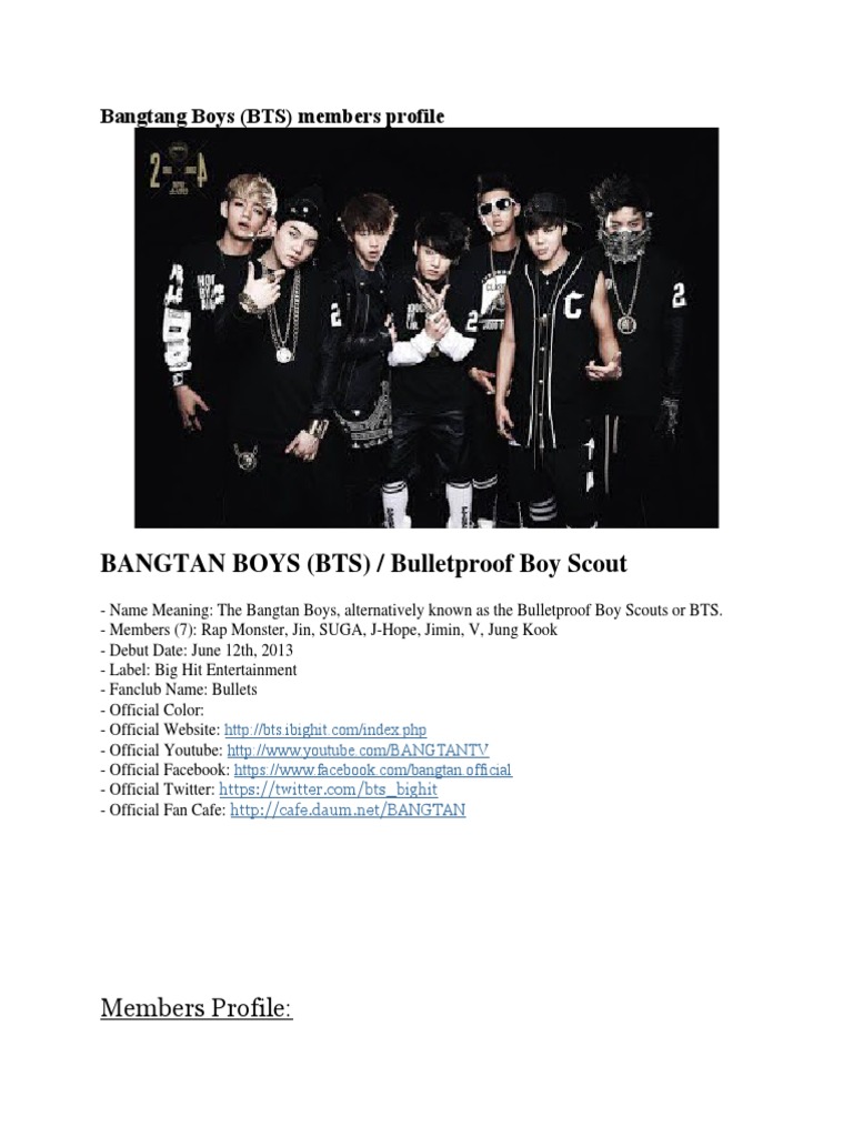 BTS Members Profile Overview | PDF