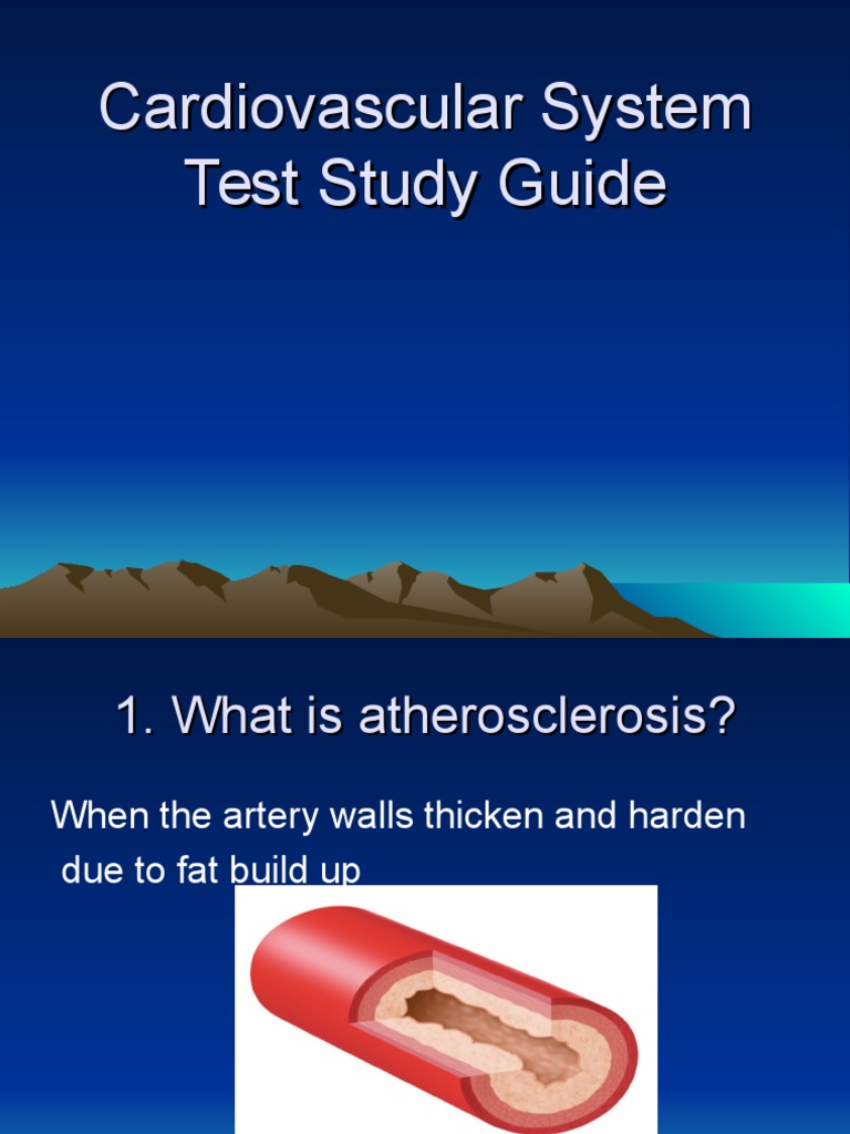 Cardiovascular System Test Study Guide | PDF | Blood | Circulatory System