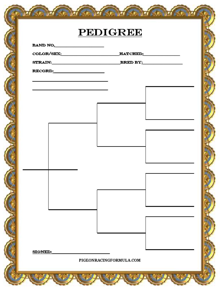 Pedigree Template | PDF