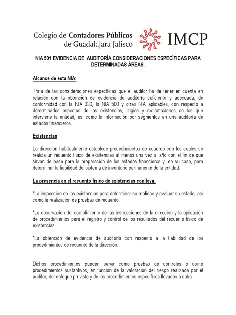 Nia 501 Guia de Aplicacion | PDF | Contralor | Auditoría financiera