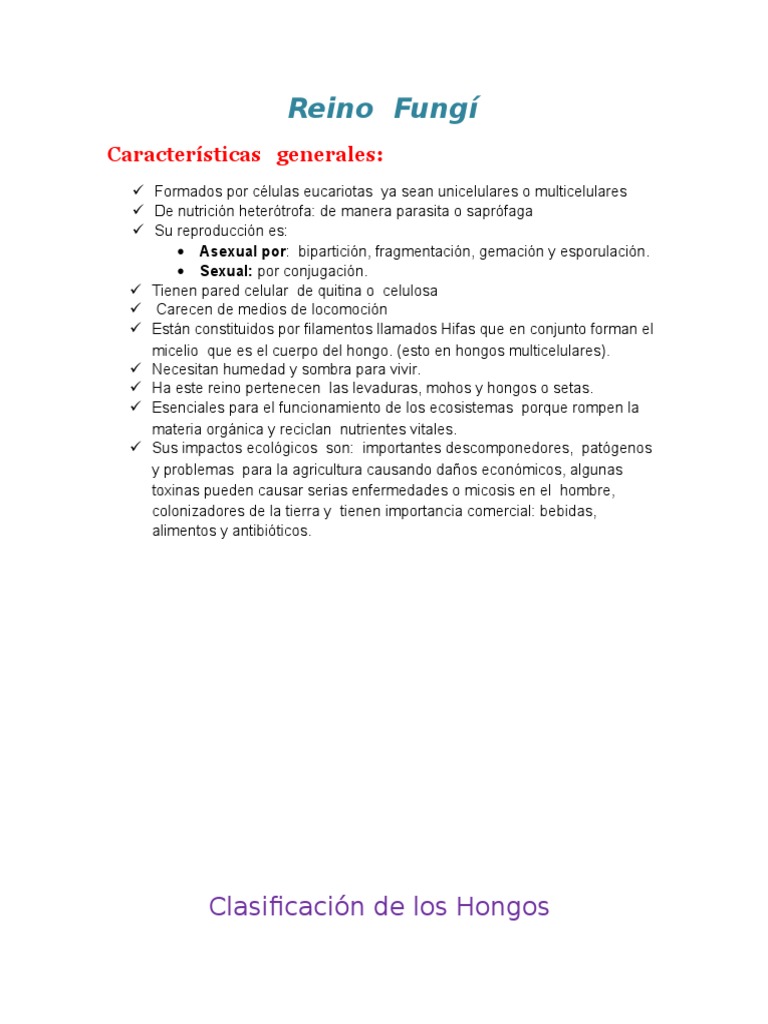 Clasificacion Del Reino Fungi